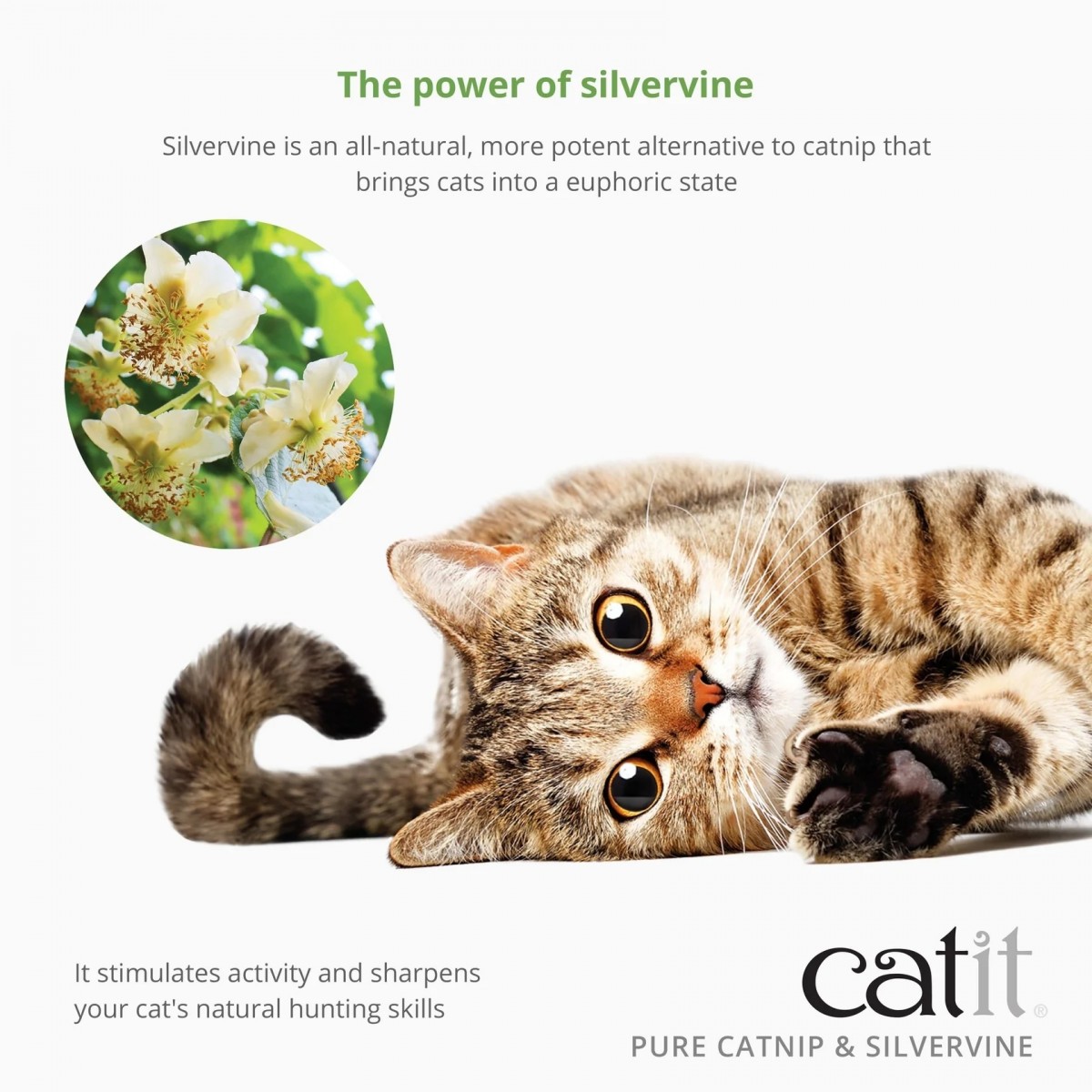 Catit Catnip & Silvervine Powder for Cats 28g (44774) | Starpet ...