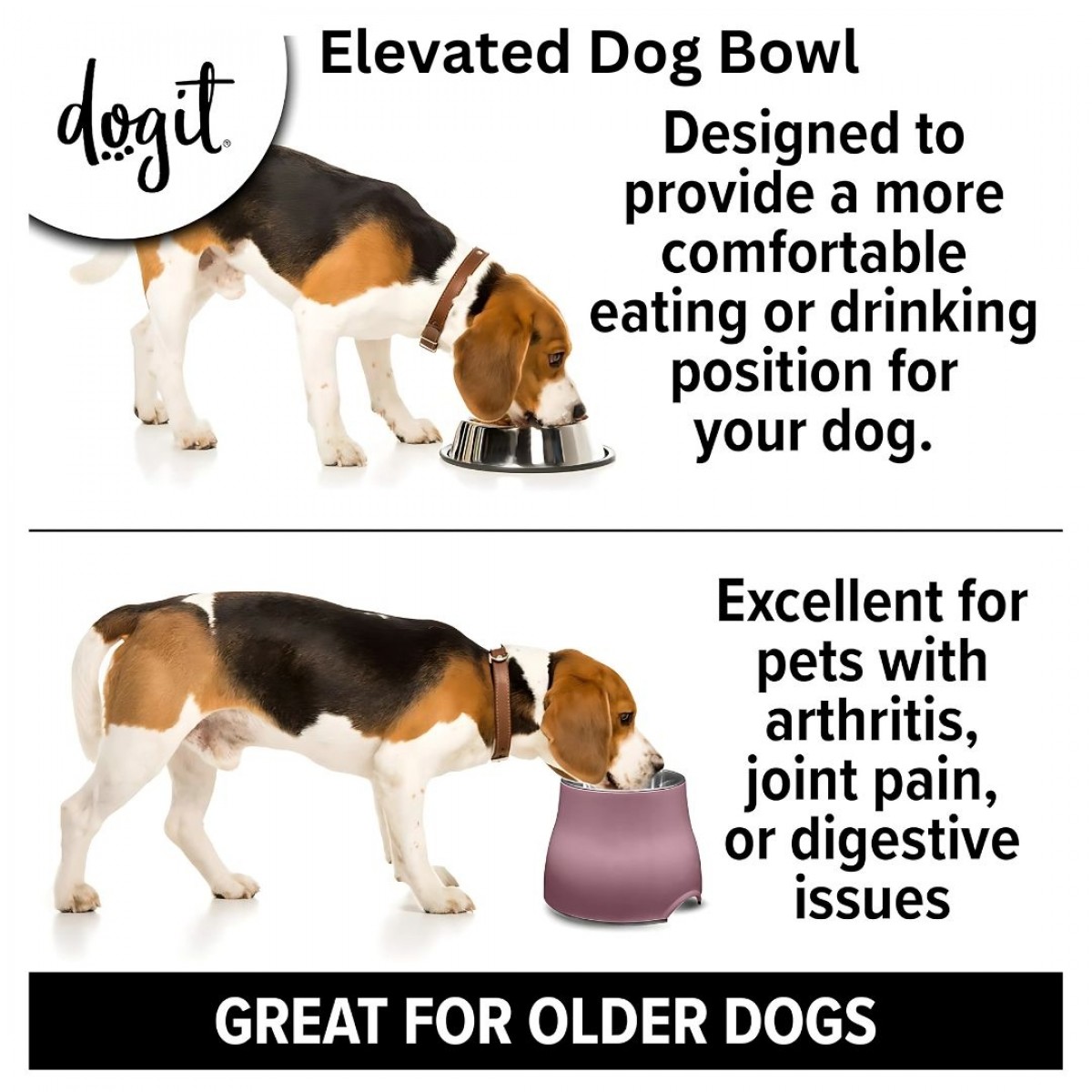 Dogit Elevated Dog Dish White, Large 900ml (73753) | Starpet ...