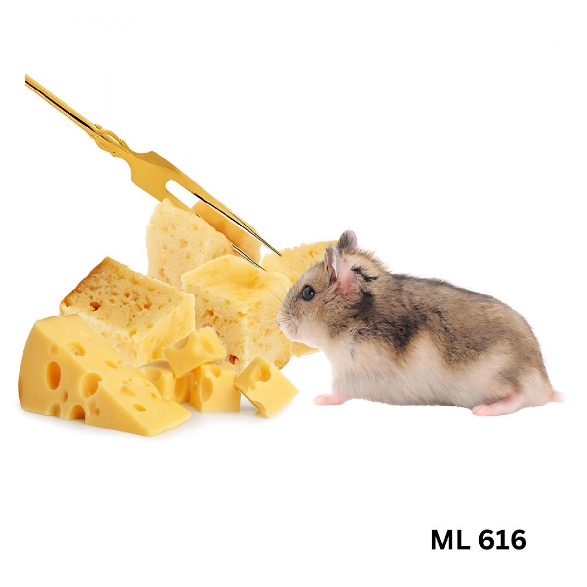Marukan Soft Cube Cheese Flavour for Small Animals 60g (ML616 ...